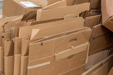 Carton plein pour l’inclusion sociale