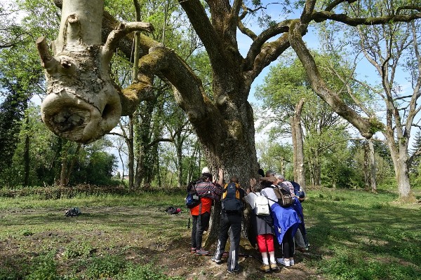 Le natural training : pratiquer le sport-santé en harmonie avec la nature