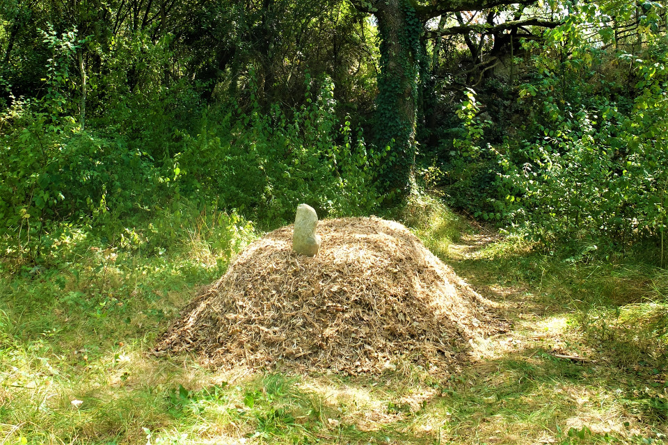 Humusation, aquamation, promession : mais que cachent ces modes de ...