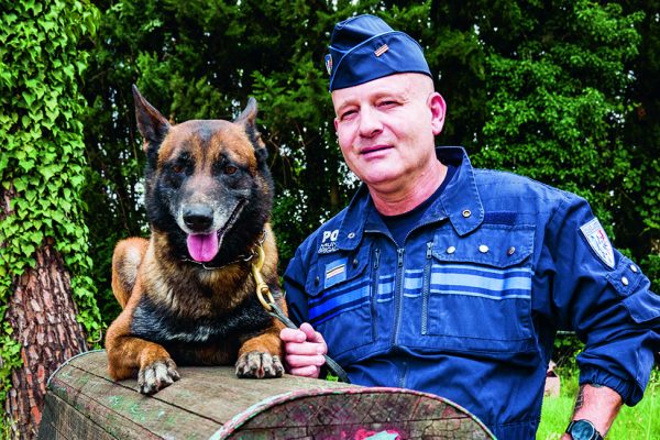 Brigade cynophile (4) : sports et activités de loisir, « le ring